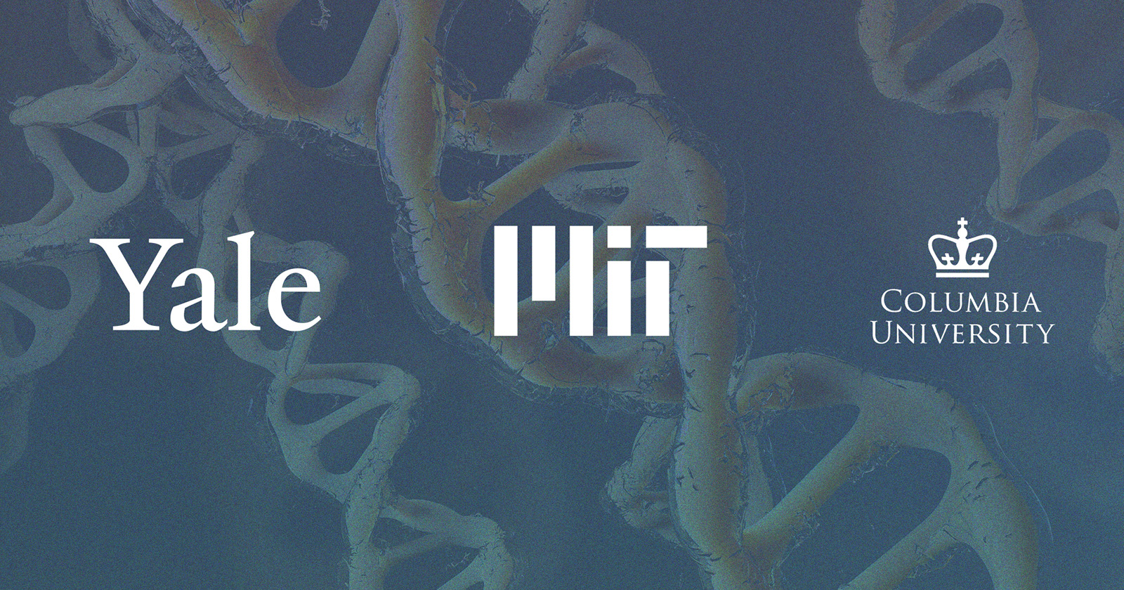 Two New RSRT-Funded Projects That Use a Novel Approach to Deliver ...