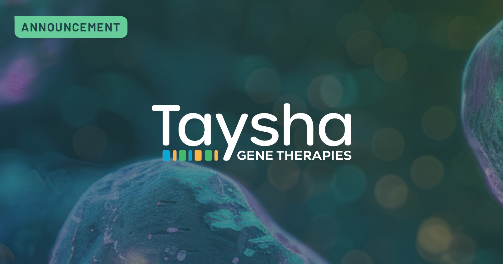 Taysha Releases Financial Update and Community Letter